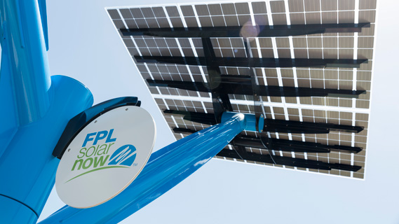 FPL | Clean Energy | Net Metering