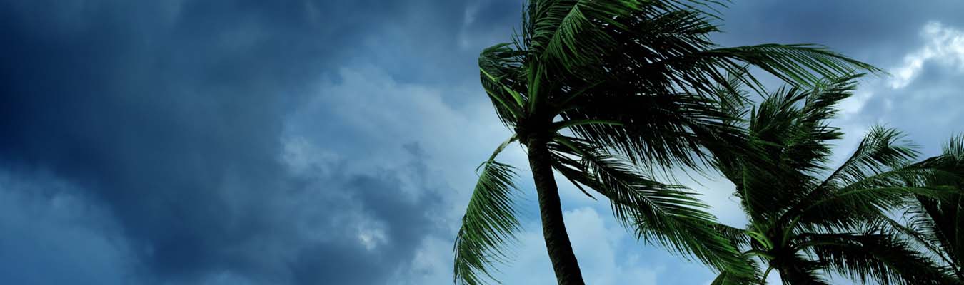 FPL Northwest FL | Storm Center